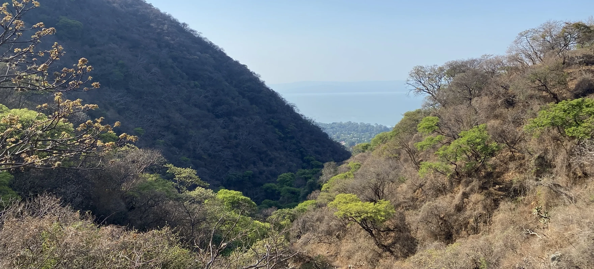 AtractivoMirador del Cerro del Tepalo - Visitamex