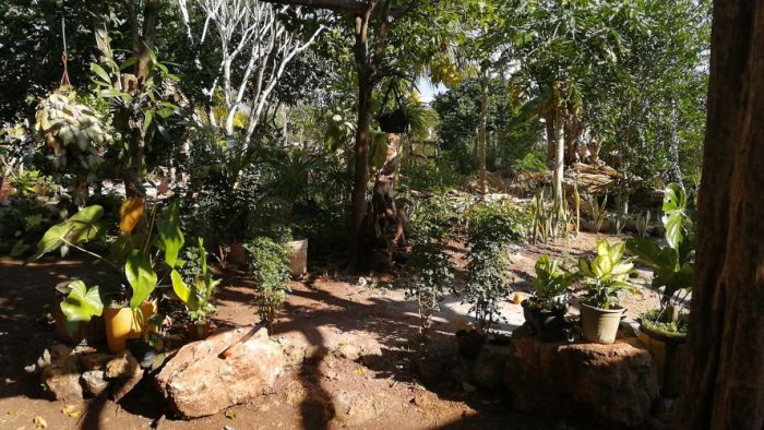 AtractivoPACHPAKAL -SOLAR MAYA - Visitamex